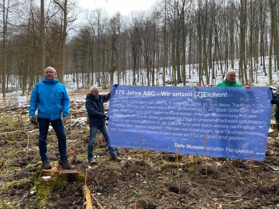Wir setzten (Z)Eichen - Petra Broistedt – Ganz Göttingen im Blick